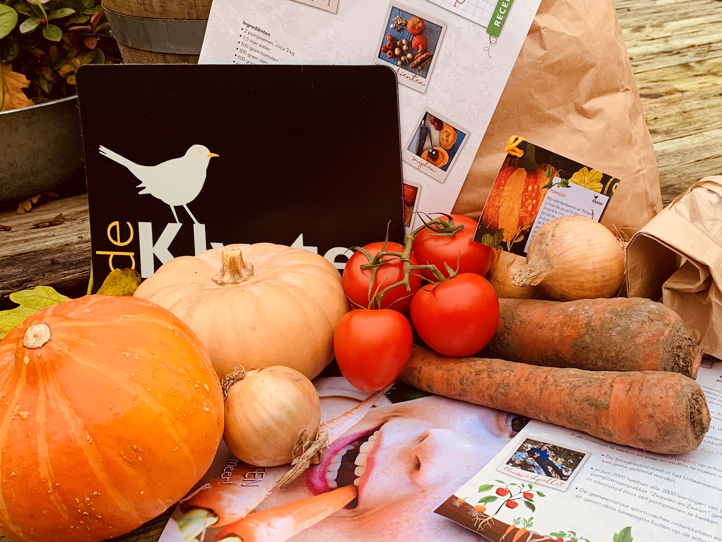 Feestelijke afsluiting met 100 pompoenpakketten | Natuur- en Milieu ...
