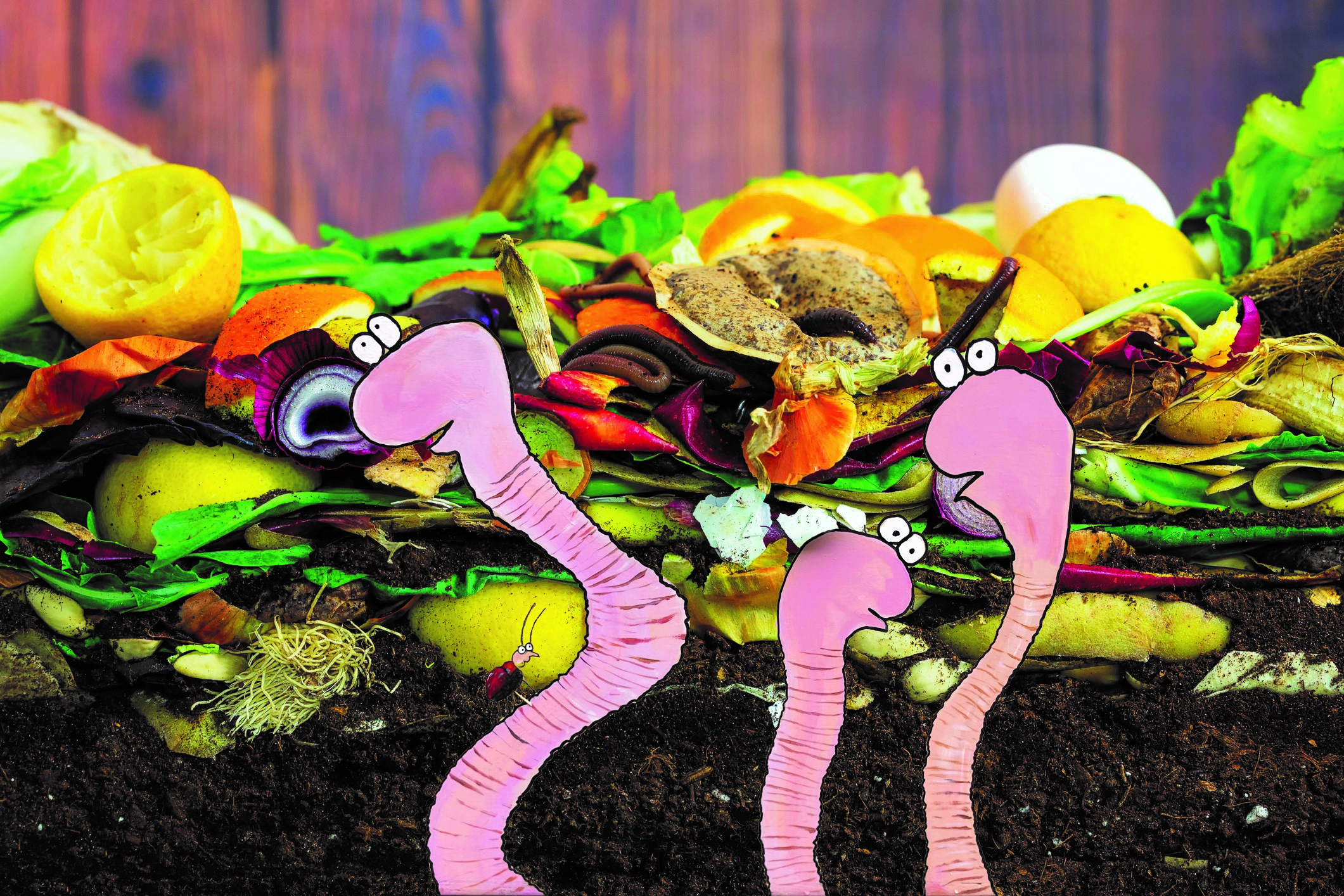 Superworm | Natuur- en Milieu Educatie Centrum De Klyster